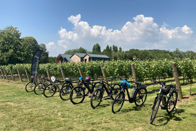 Kingley Vale, the Trundle and Ashling Park Vineyard Tour - Southern ...